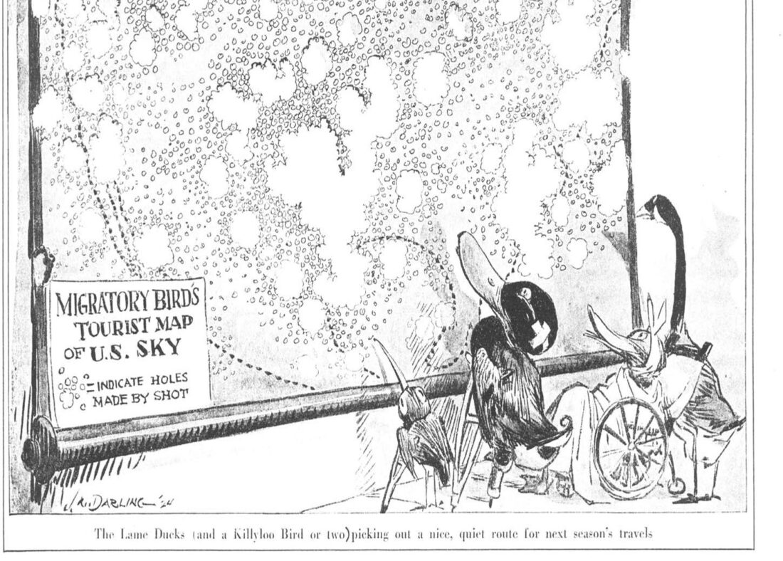 Ding Cartoon Of The Month News Sports Jobs SANIBEL CAPTIVA Ding Cartoon Of The Month News Sports Jobs SANIBEL CAPTIVA